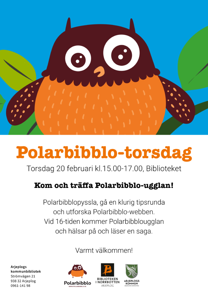 Kom och träffa Polarbibblo-ugglan! - Arjeploglapland